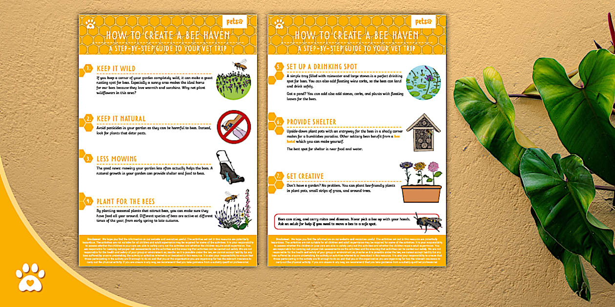 How to Create a Bee Haven - Step-by-Step Guide - Bees - Pets