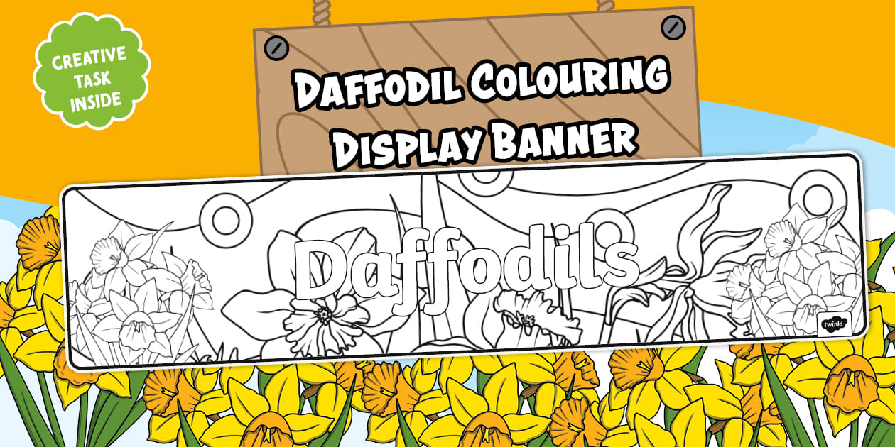 Daffodil Colouring Display Banner