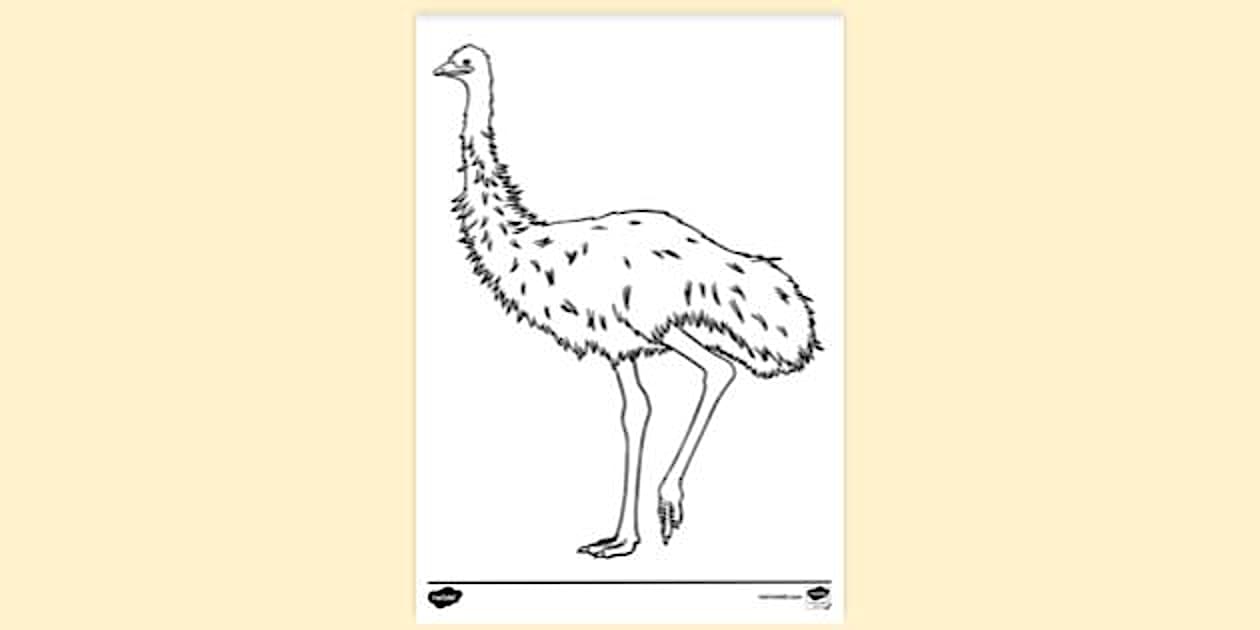 Emu Colouring Sheet | Colouring Sheets (teacher made)