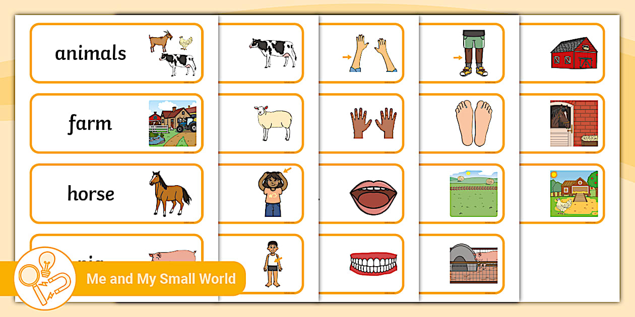 Kindergarten Science Vocabulary Cards: Me & My Small World | Twinkl