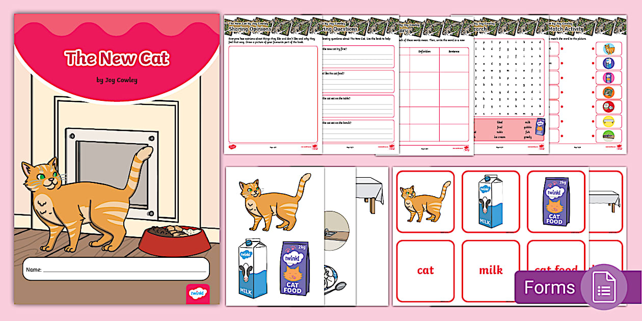 The New Cat (Magenta) Follow-Up Activities - Twinkl