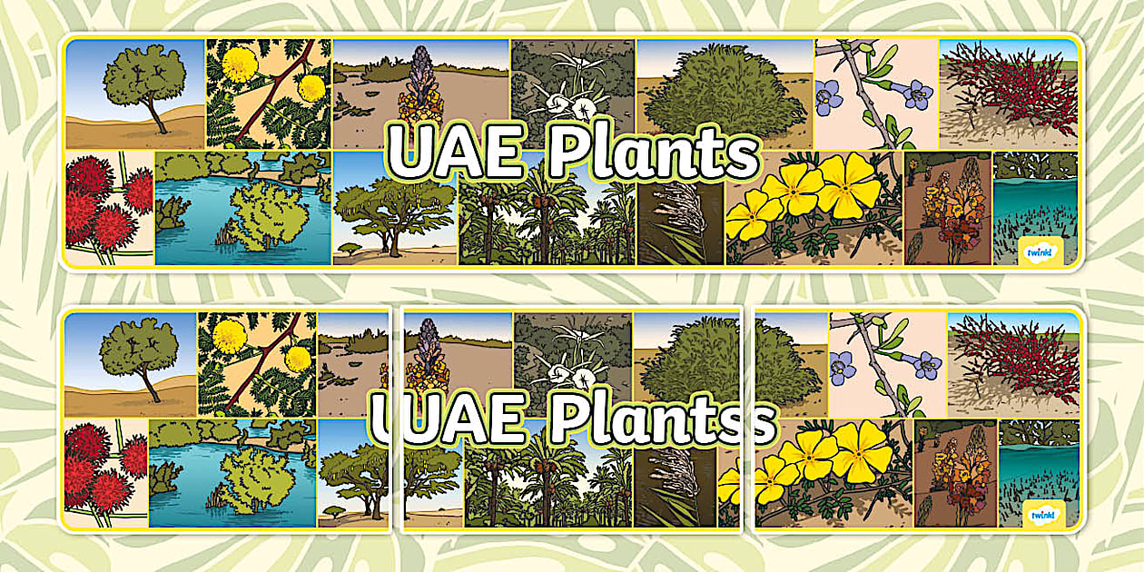 Display Banner - UAE Plants - Lower Primary