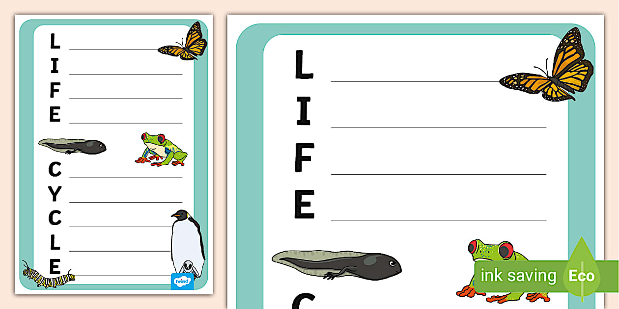 Life Cycle Acrostic Poem (teacher made) - Twinkl