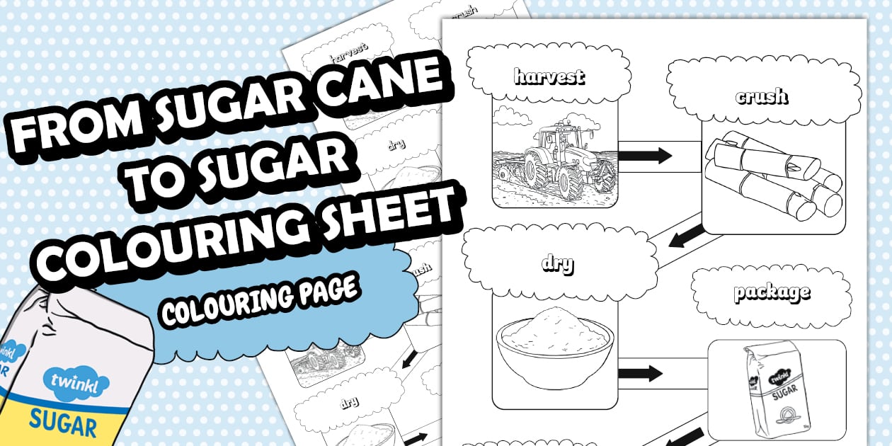 Grade 3 - From Sugar Cane to Sugar Colouring Sheet