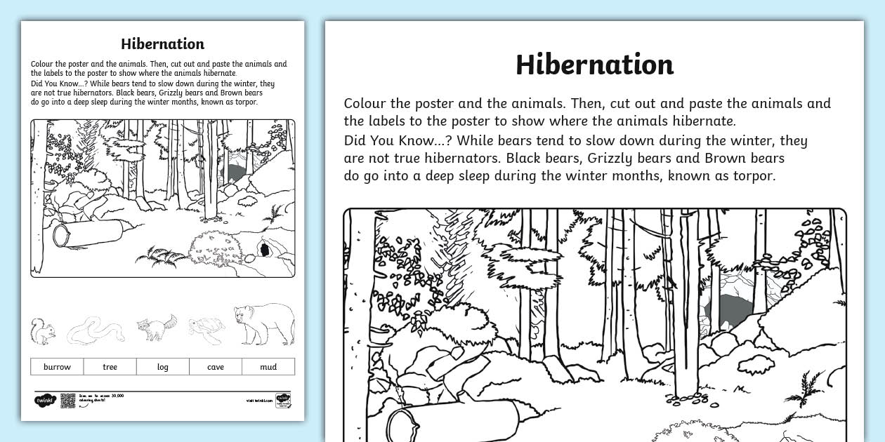 Editable Hibernation Cut and Colour Worksheet - Twinkl
