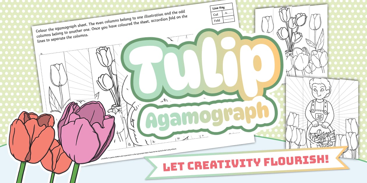 Tulip Agamograph