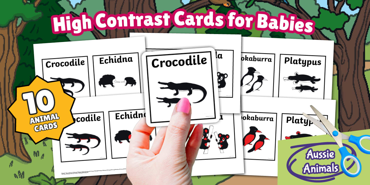 High Contrast Cards for Babies - Aussie Animals