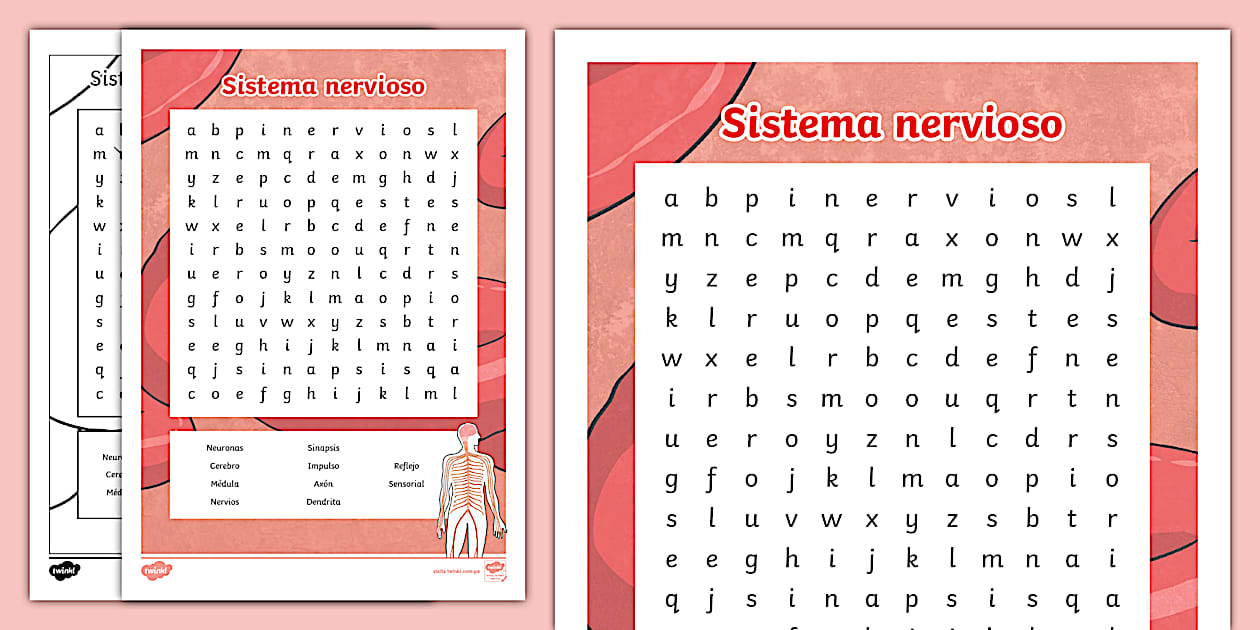 Sopa de letras del sistema nervioso | Twinkl - Twinkl