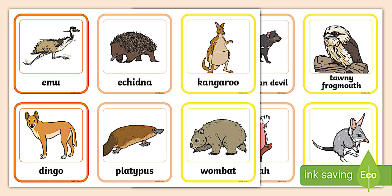 Australian Animal Matching Game - Primary Resources - Twinkl