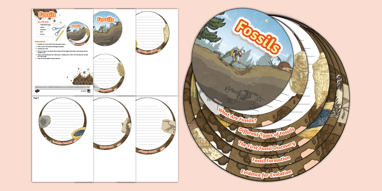 Fossils Circles Booklet - Twinkl Craft Activities - Twinkl