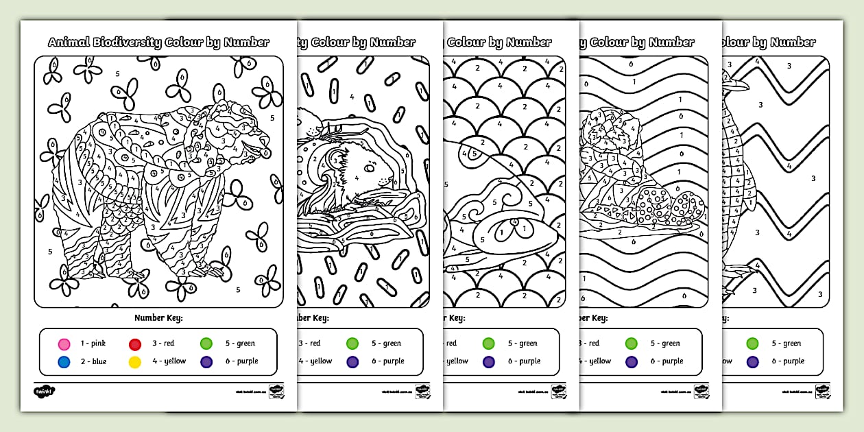 Animal Biodiversity Colour By Number Differentiated - Twinkl