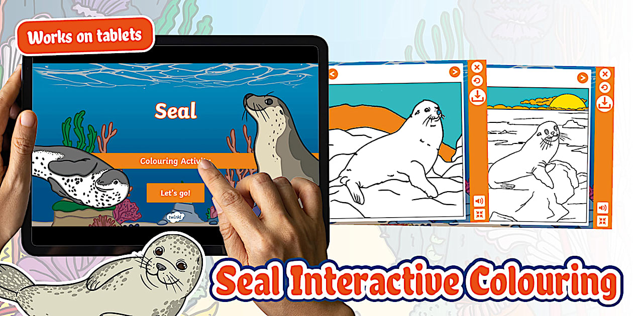 Seal Interactive Colouring