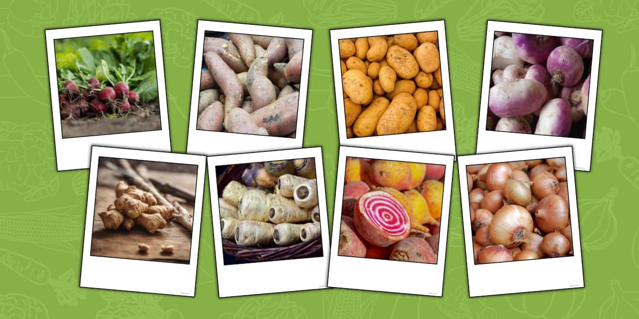 Root Vegetables Instant Photo Style Display Images - Twinkl