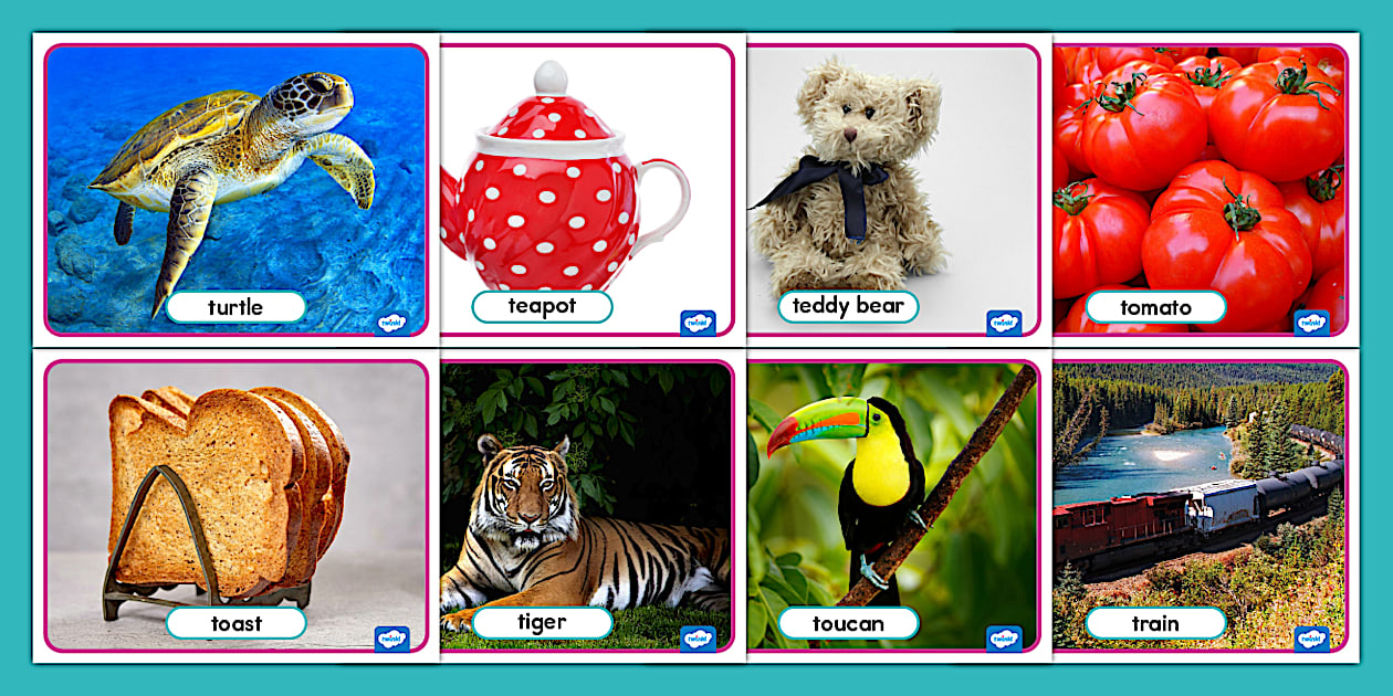 Things That Start With T Photos (teacher made) - Twinkl