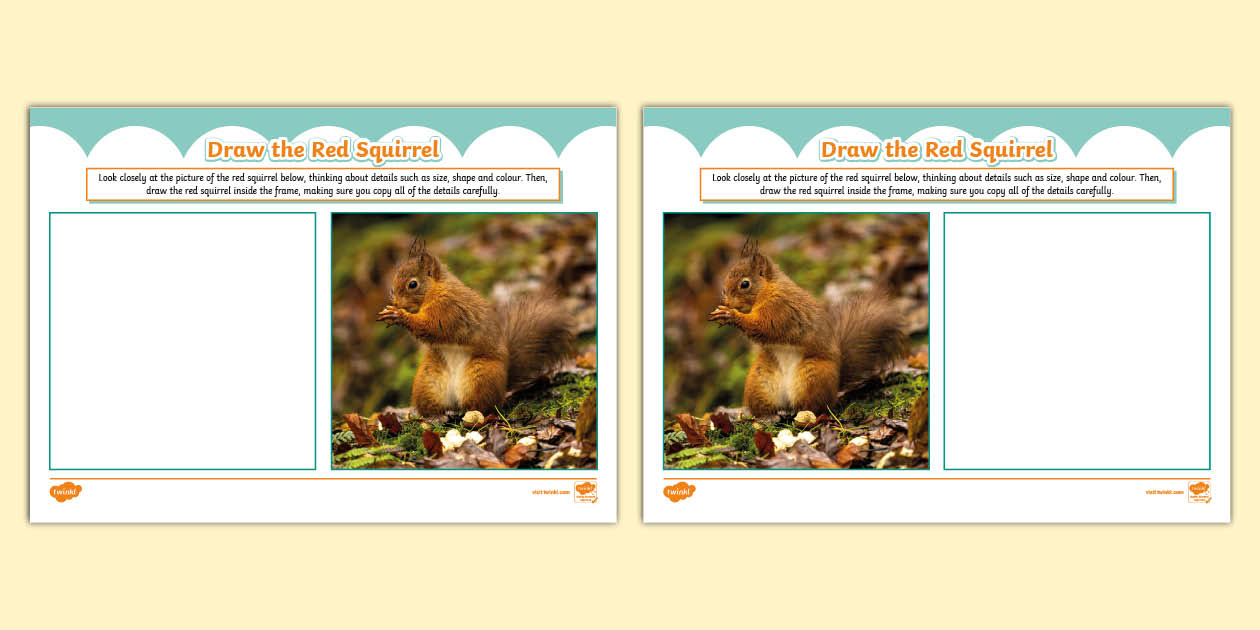 Draw the Red Squirrel Worksheet - Twinkl Art - Twinkl
