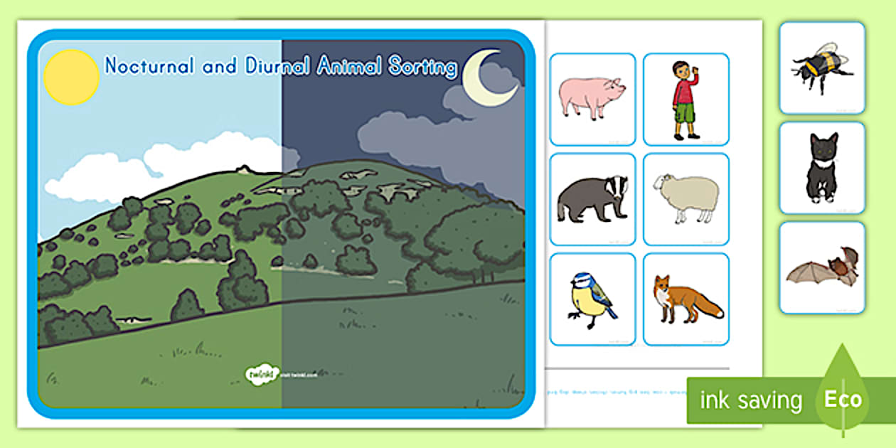 Nocturnal and Diurnal Animal Sorting Cards Activity - Twinkl