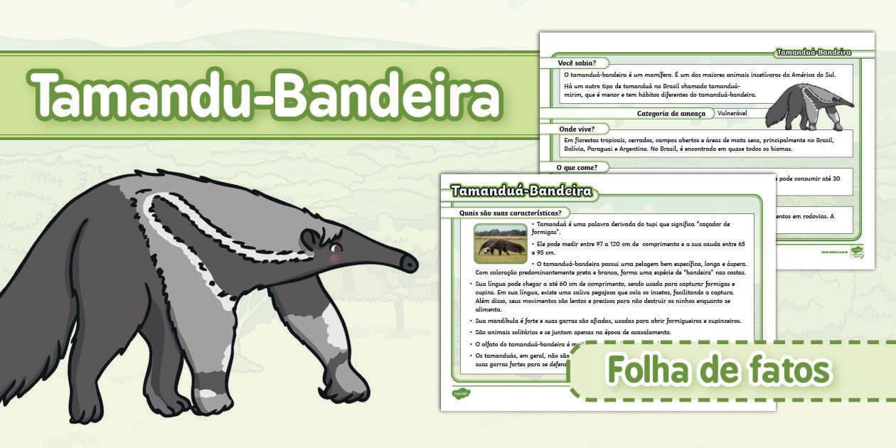 Tamanduá-Bandeira - Folha de fatos