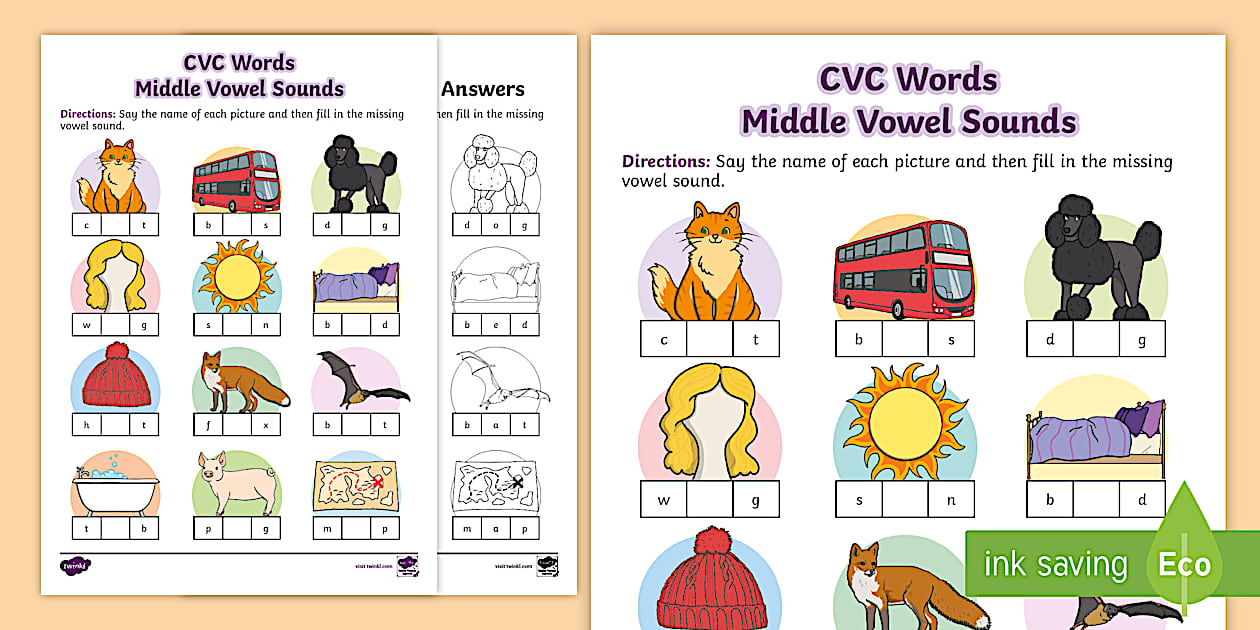 CVC Words Middle Vowel Sounds Activity - Twinkl