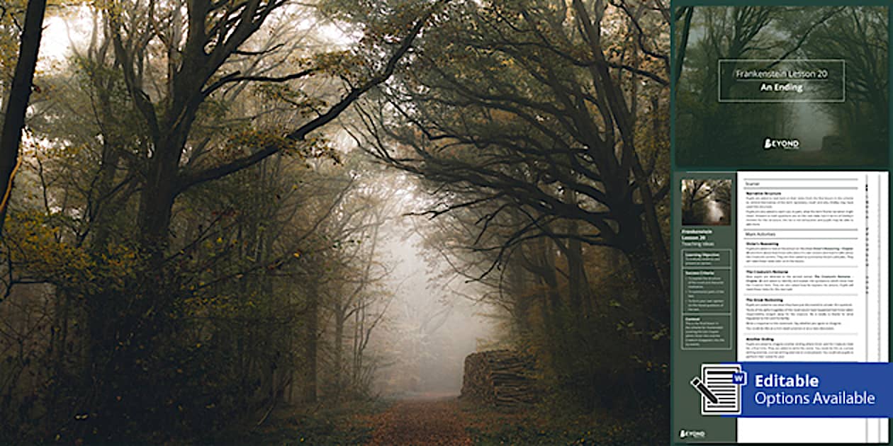 Narrative Structure Frankenstein | Frankenstein Chapter 24