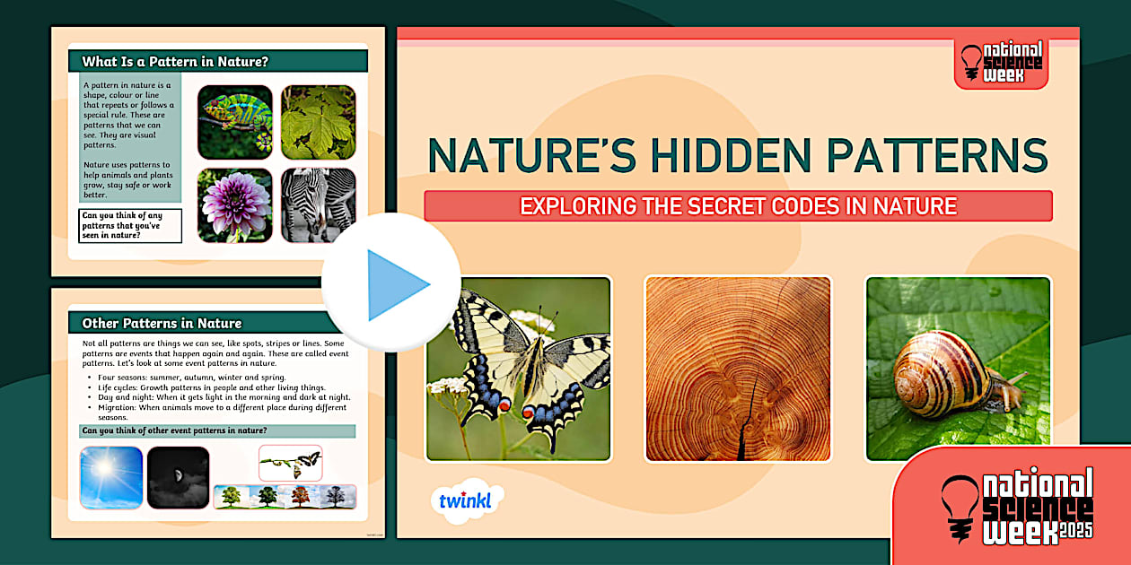 Nature's Hidden Patterns PowerPoint - Explore Nature's Patterns