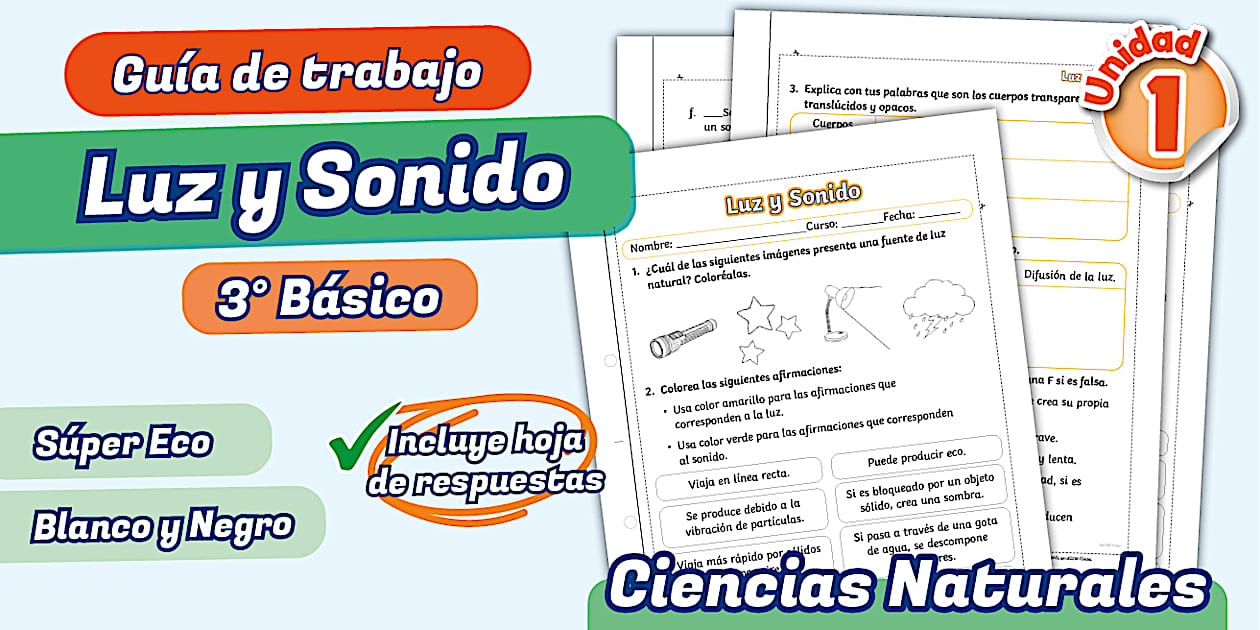 Guía de Trabajo | Luz y Sonido | 3° Básico | Ciencias