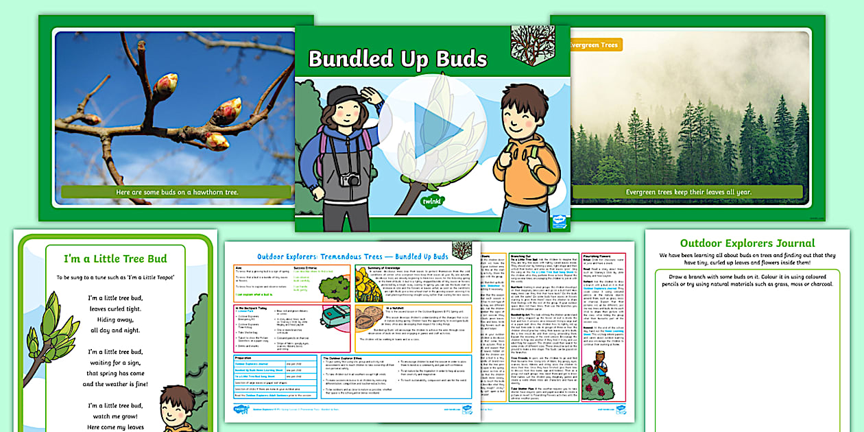 Spring Buds Activity | EYFS Resources | Twinkl - Twinkl
