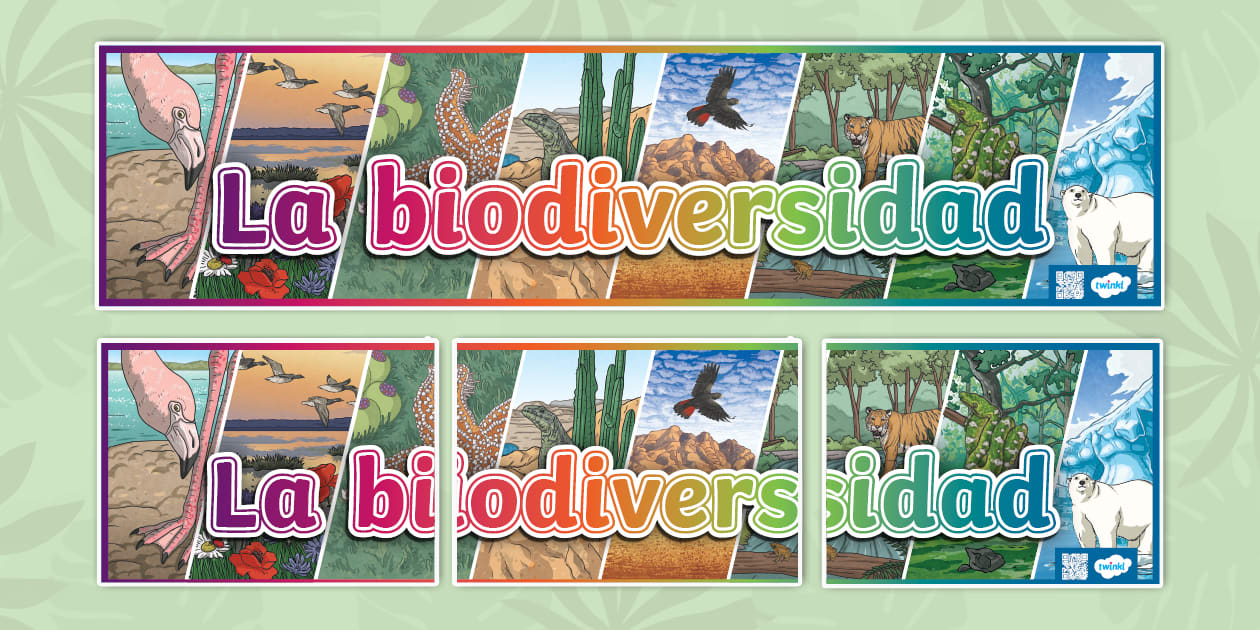 * NEW * Letrero: La biodiversidad (teacher made) - Twinkl