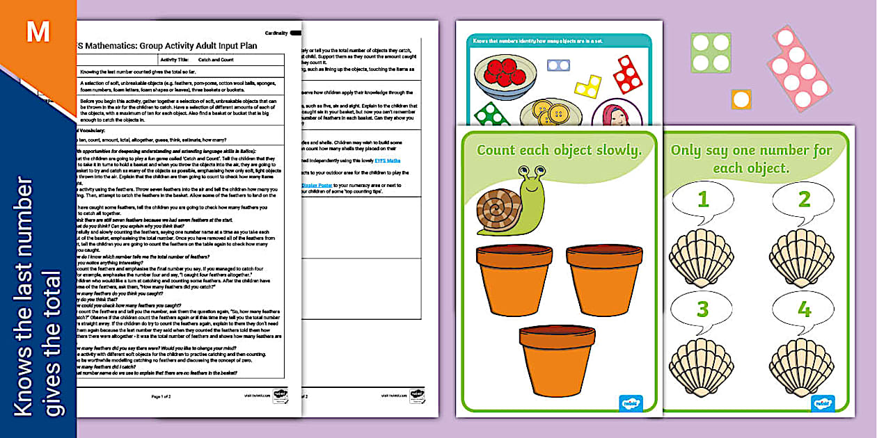 EYFS Maths: Catch and Count Group Activity Adult Input Plan