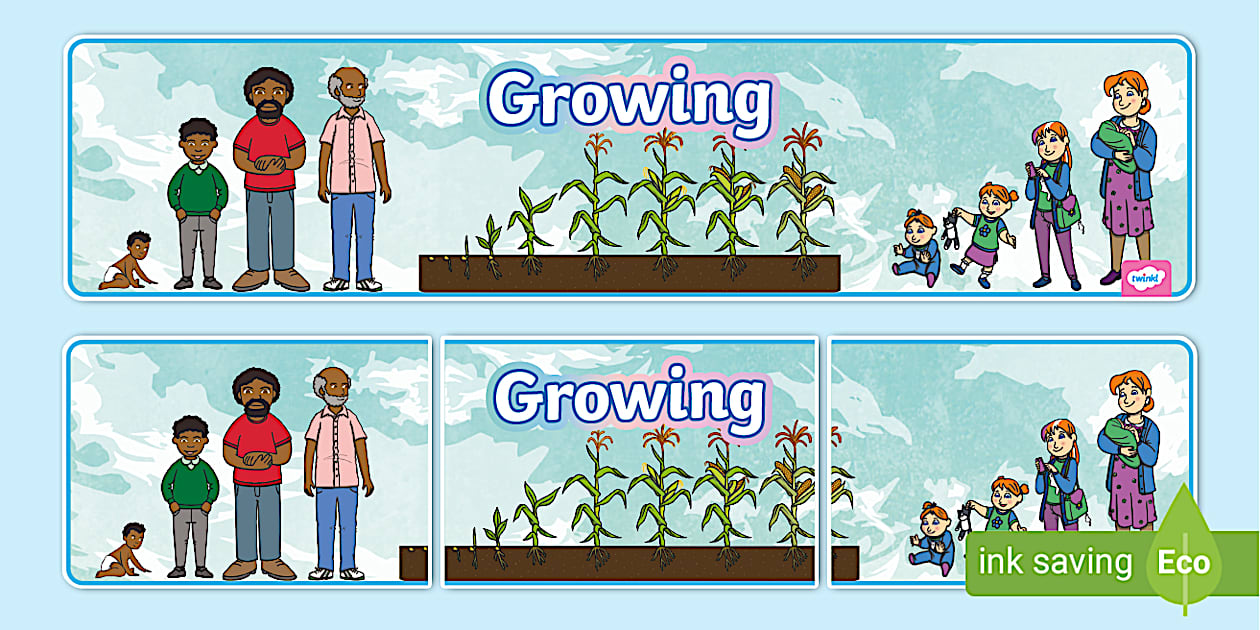 Growing Display Banner (teacher made) - Twinkl