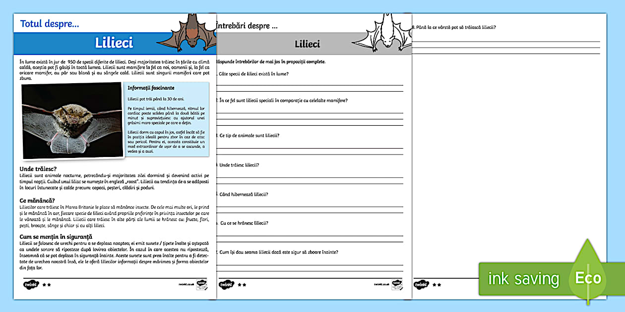 Lilieci - Fișe diferențiate de evaluare a competenței de lectură
