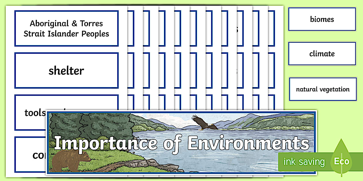 Environments Display Pack (teacher made) - Twinkl