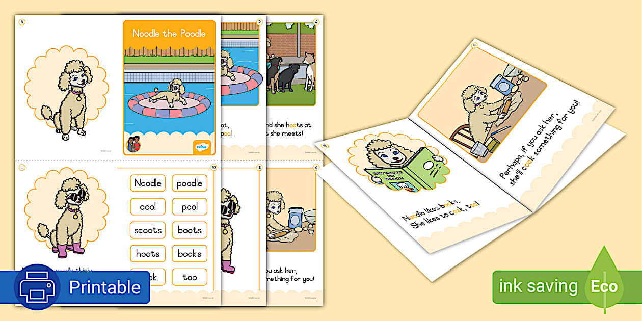 Grade 2 Phonics Mini Reader: oo Digraph (teacher made)