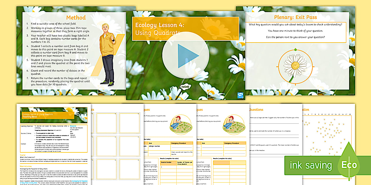 AQA GCSE Ecology: Using Quadrats | GCSE Science | Beyond