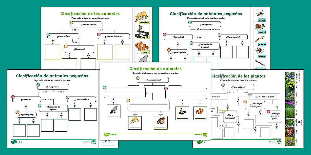 Fichas de actividad por niveles: Clasificación de los seres vivos