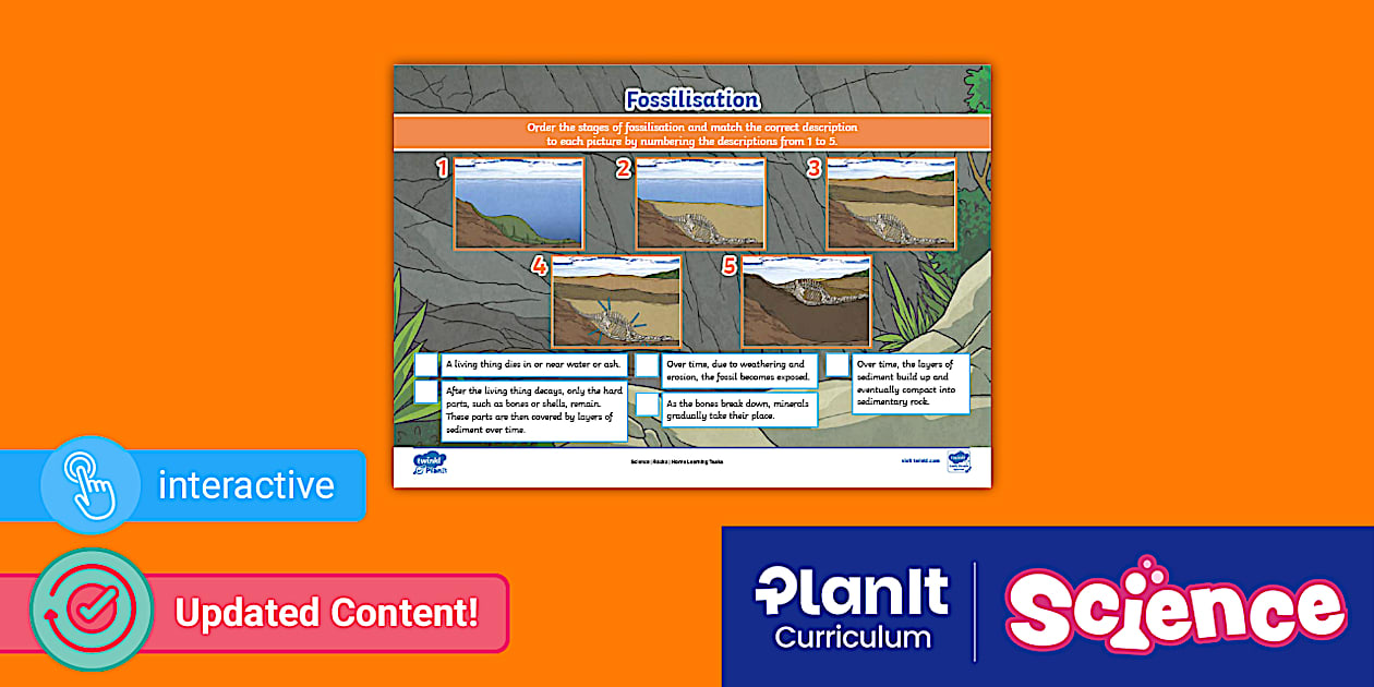 Interactive PDF: Science: Rocks: Year 3: Home Learning: Fossilisation