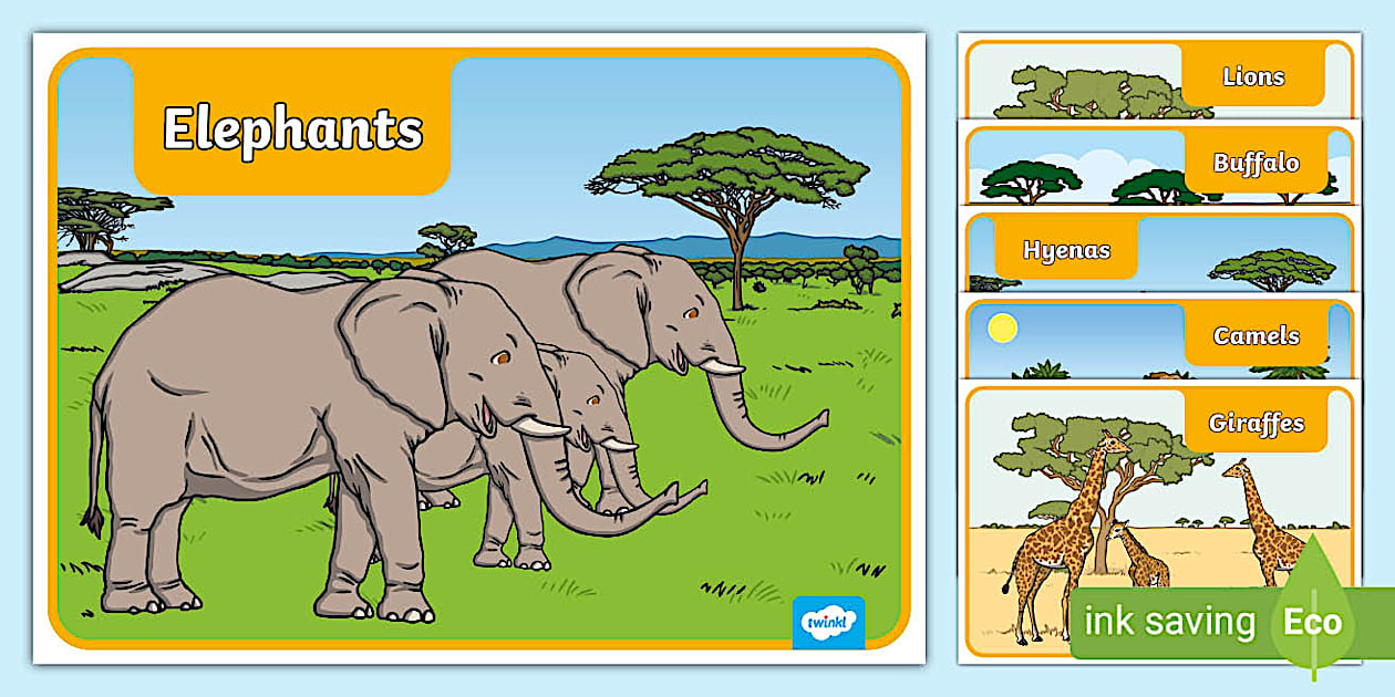 Animals in Africa Display Posters (teacher made) - Twinkl