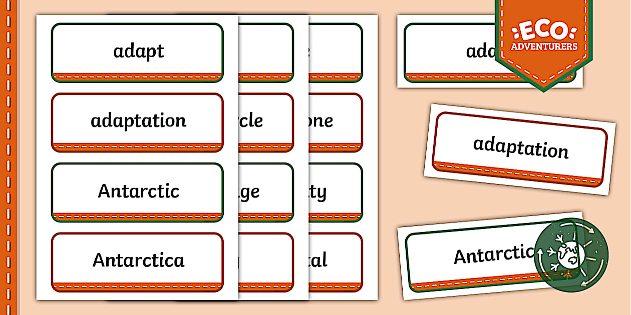 Year 2 Earth's Climate & Cycles: Key Vocabulary Cards