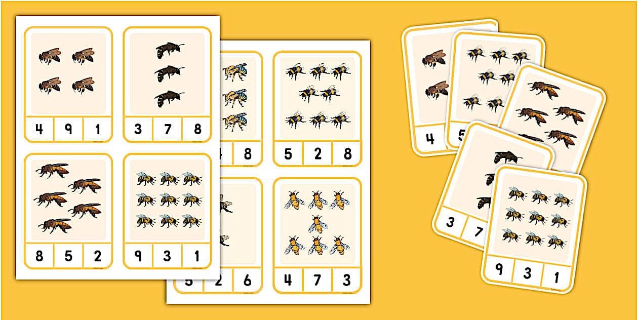 Bee Peg Counting Activity - Twinkl Mathematics - Twinkl