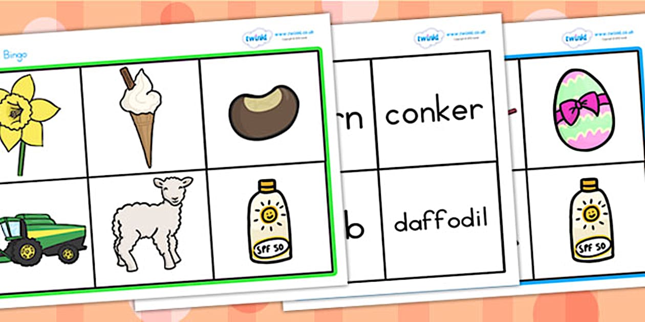 Seasonal Bingo and Sorting Activity (teacher made) - Twinkl