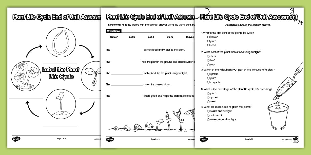 Plant Life Cycle End of Unit Assessment for K-2nd Grade