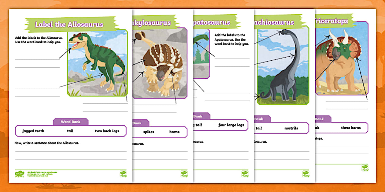 Label the Dinosaur Activity Sheets (teacher made) - Twinkl