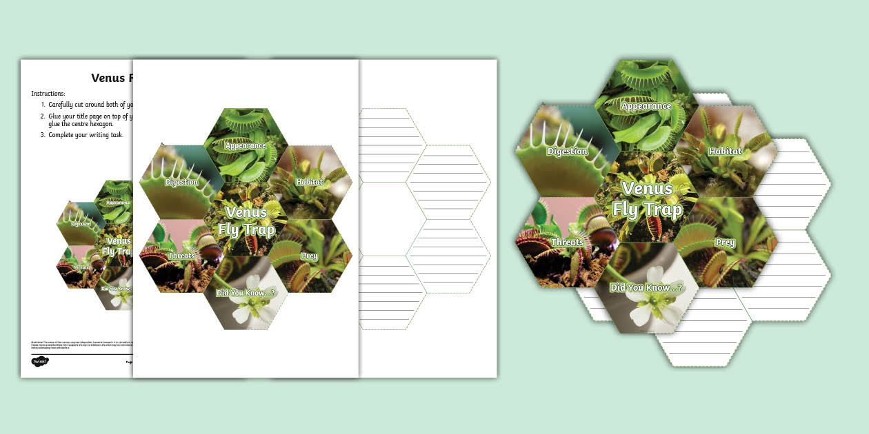 Venus Fly Trap Information Hexagon Writing Template - Twinkl