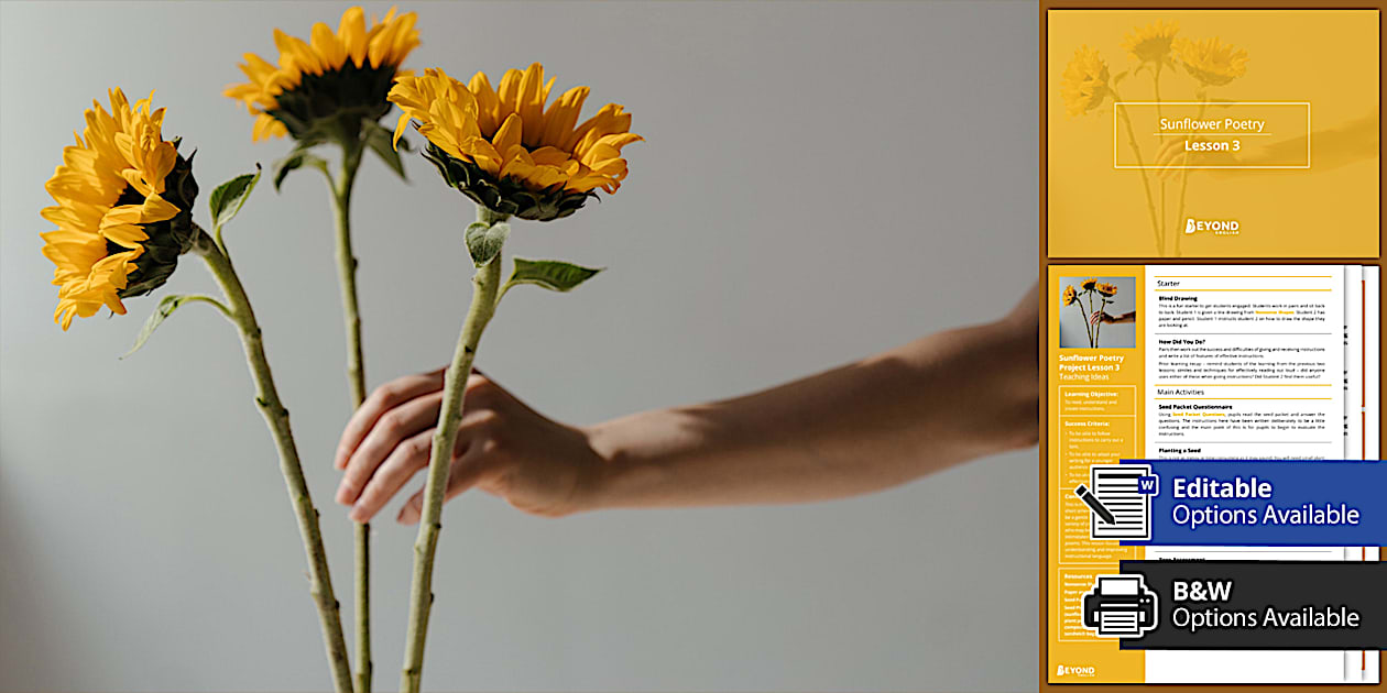 Sunflower Poetry Project Lesson 3: Instructions | Beyond