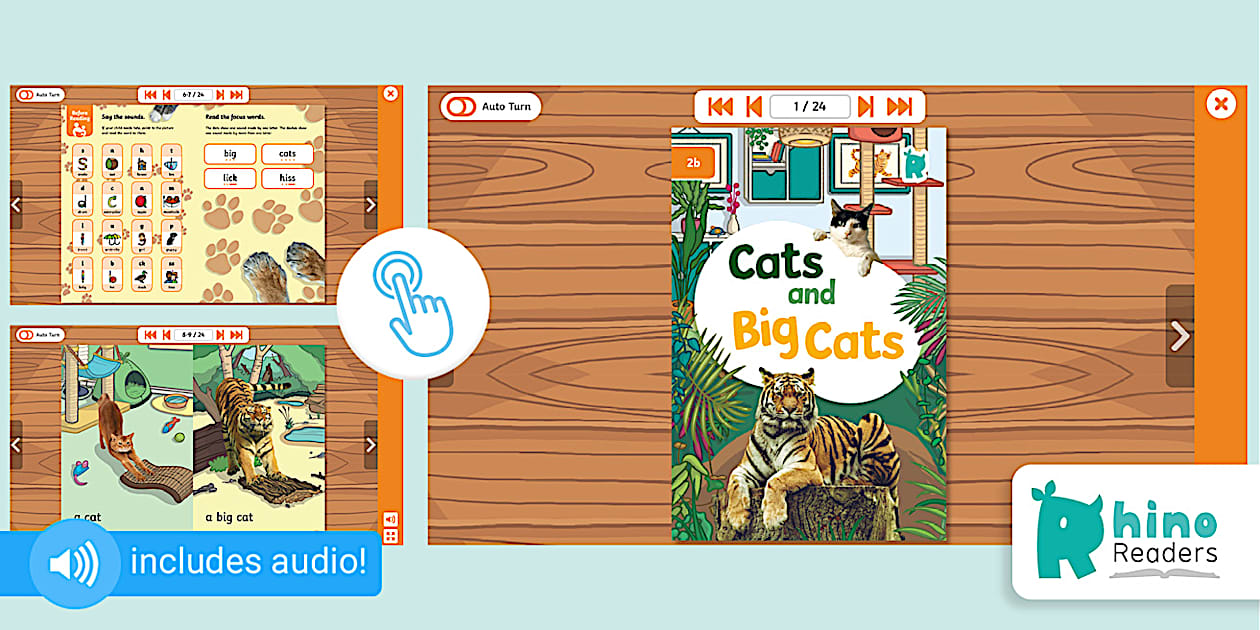 Non-Fiction 2b Book | Cats and Big Cats | Rhino Readers