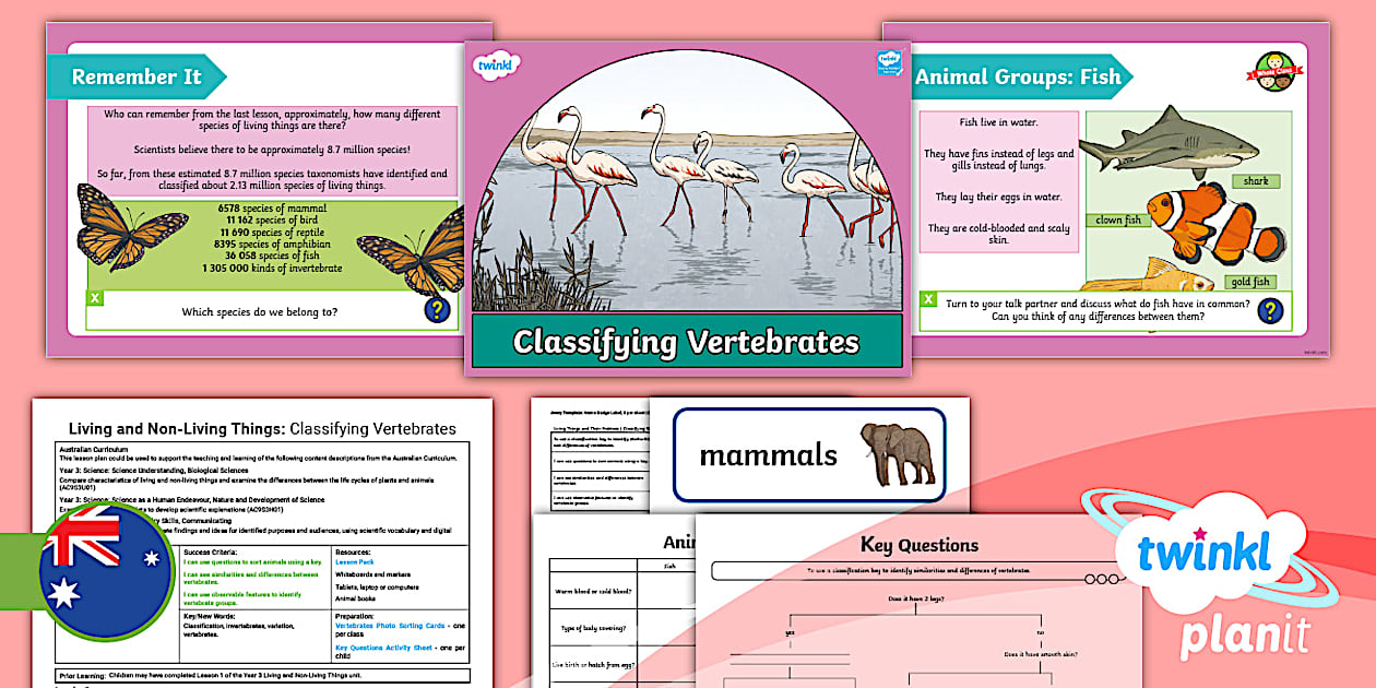 Year 3 Science Living and Non-Living Things Vertebrates L3