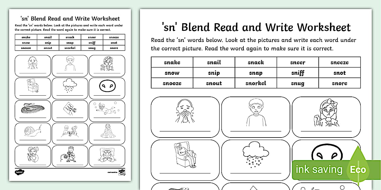'sn' Blend Read and Write Worksheet (teacher made) - Twinkl