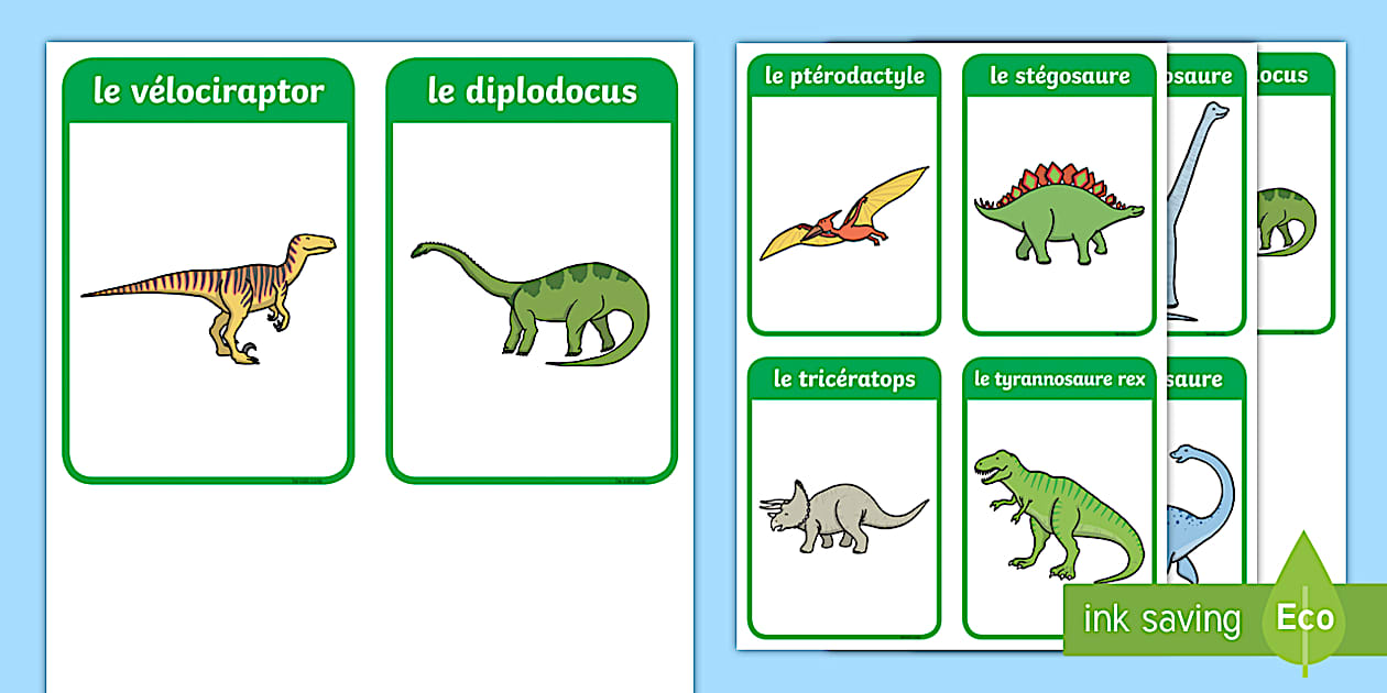 Flashcards : les dinosaures (l'enseignant a fait) - Twinkl
