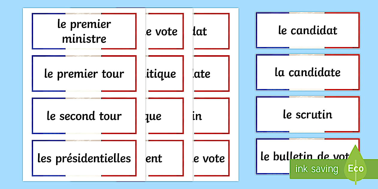 Presidential Elections Word Cards French (teacher made)