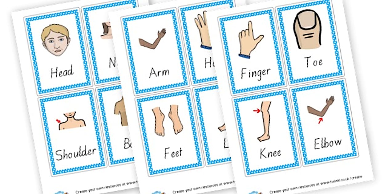 Body Parts Flashcards 4 per page (teacher made) - Twinkl