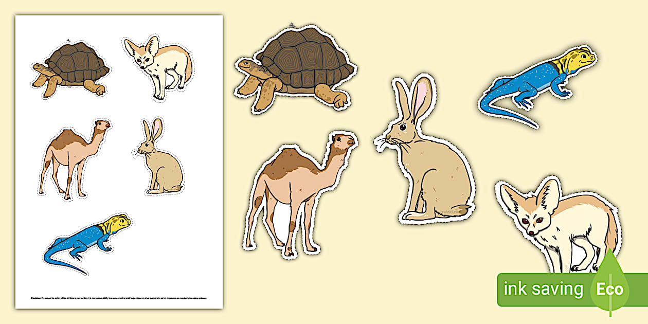 Desert Animals Small Display Cut-Outs (teacher made)